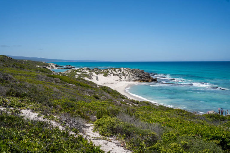 De Hoop Nature Reserve in Südafrika - Alle Highlights & Infos