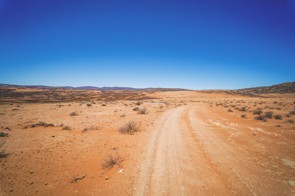 Namaqua National Park in Südafrika - Erfahrungen & Tipps