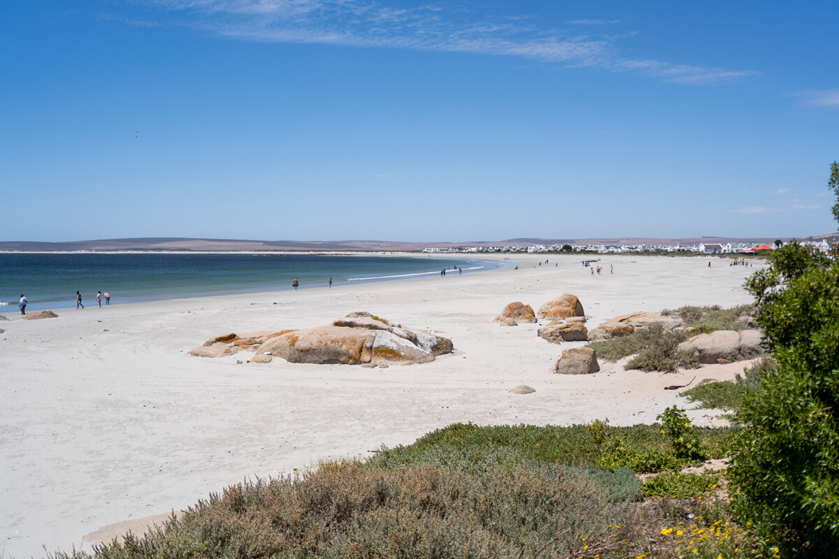 Westküste Südafrika – Sehenswertes & tolle Reisetipps