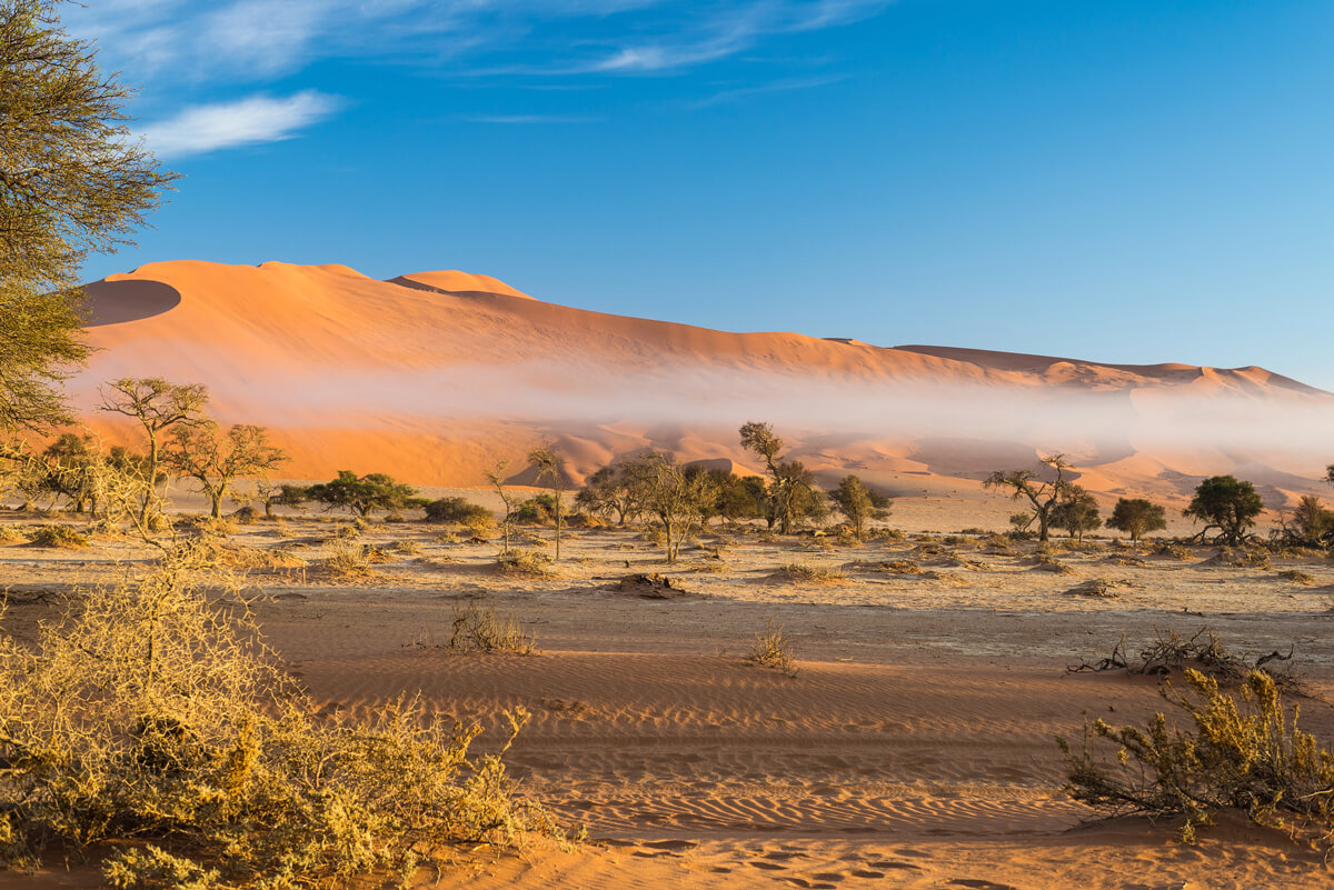 Beste Reisezeit Namibia: Klima, Tipps & Safaris im Überblick