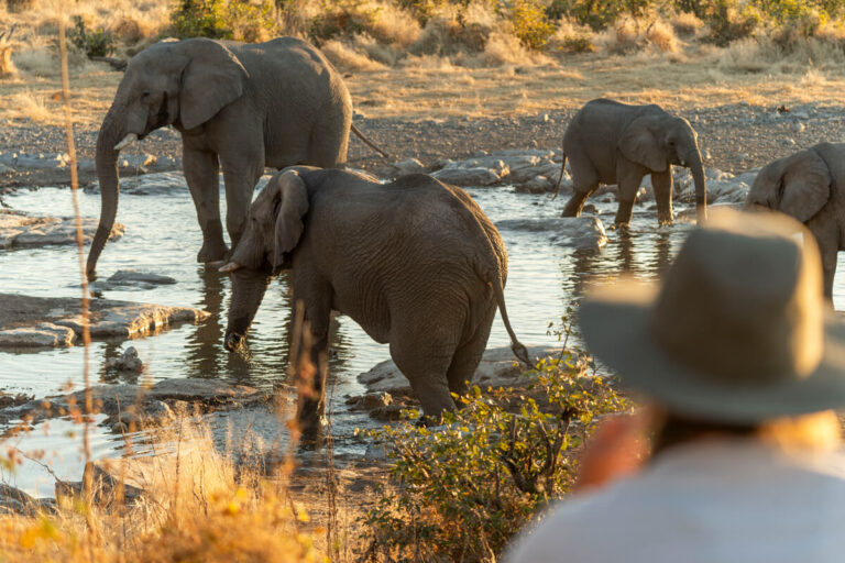 Namibia Sehenswürdigkeiten – 35 tolle Highlights & Orte