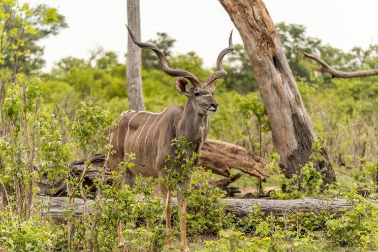Namibia Sehenswürdigkeiten – 35 tolle Highlights & Orte