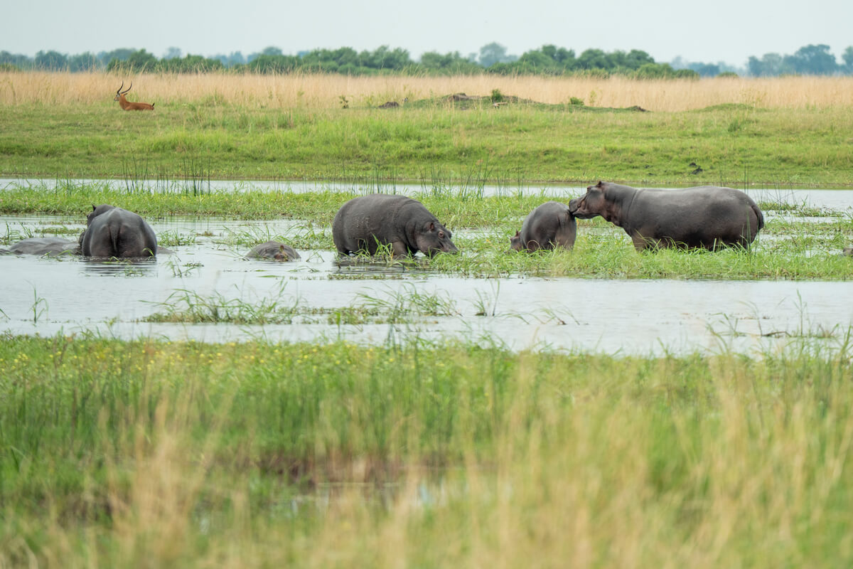Namibia Sehenswürdigkeiten – 35 tolle Highlights & Orte