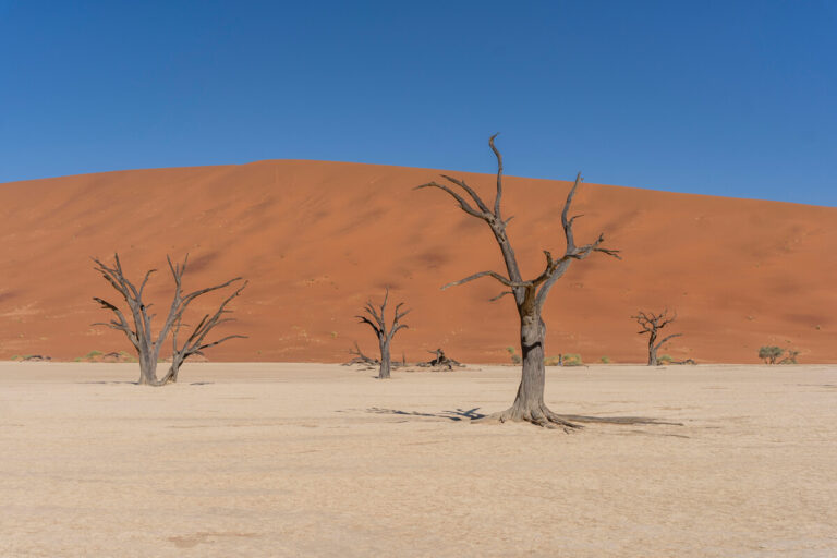 Namibia Sehenswürdigkeiten – 35 tolle Highlights & Orte