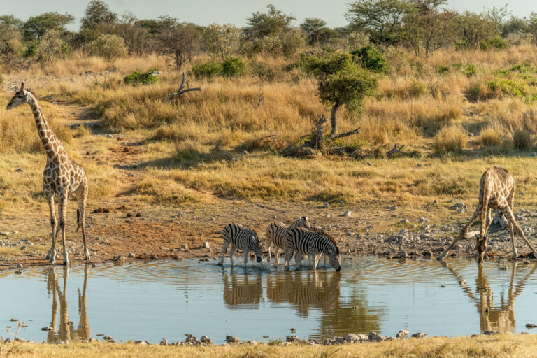 Namibia Sehenswürdigkeiten – 35 tolle Highlights & Orte